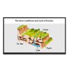 LG 98TR3PJ 98 inch Education Flat Panel Display Price in Bangladesh